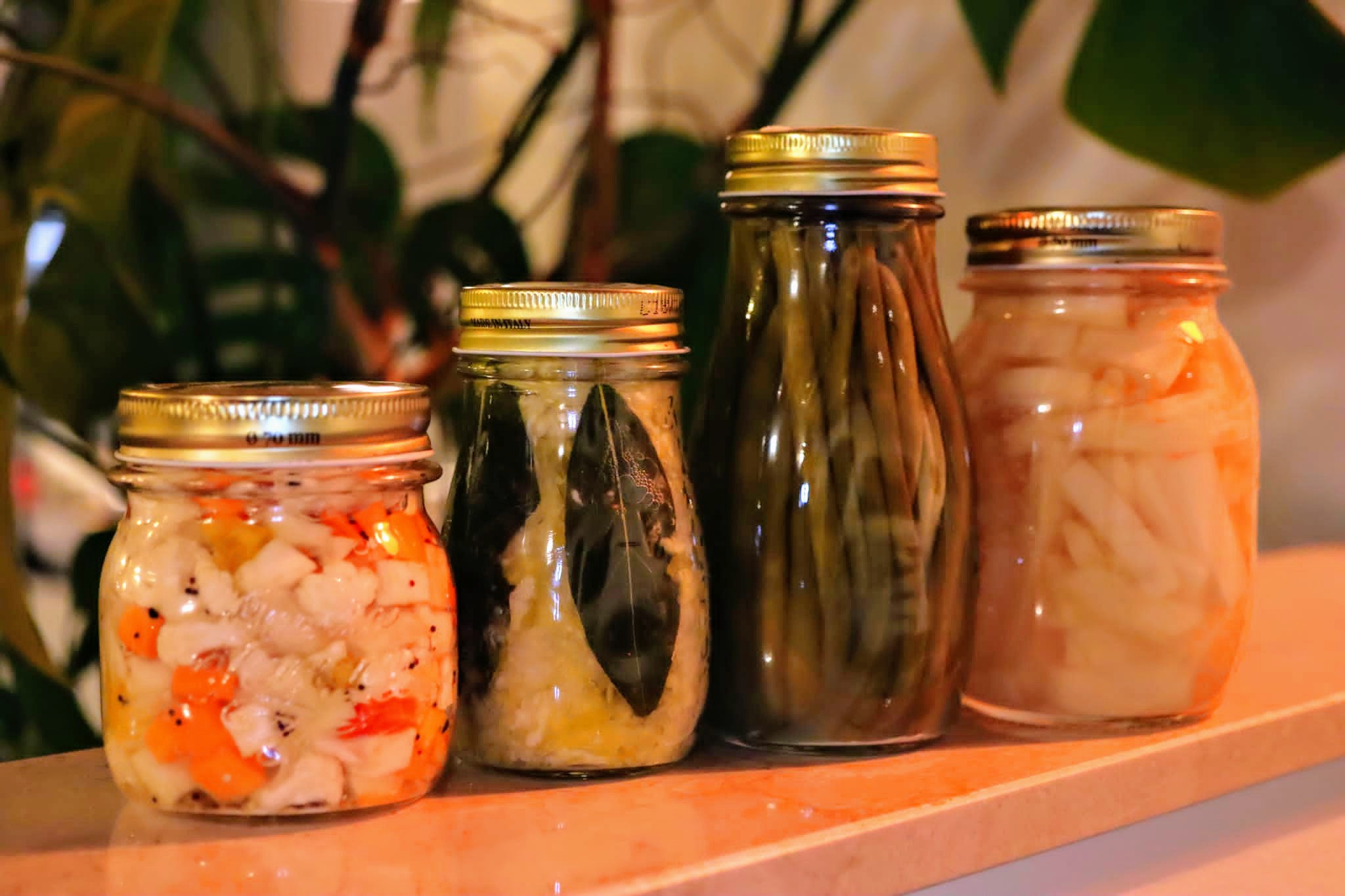 CORSO VERDURE FERMENTATE - Arcadia Viva